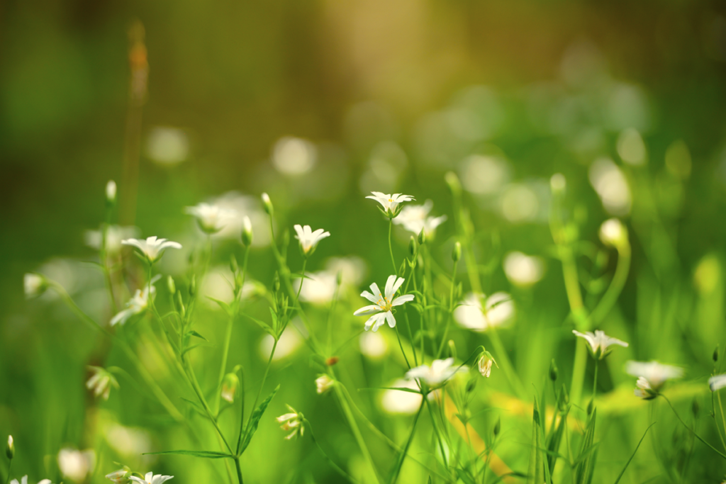 Wann muss ich mein Kind im Kindergarten anmelden? - Österreich